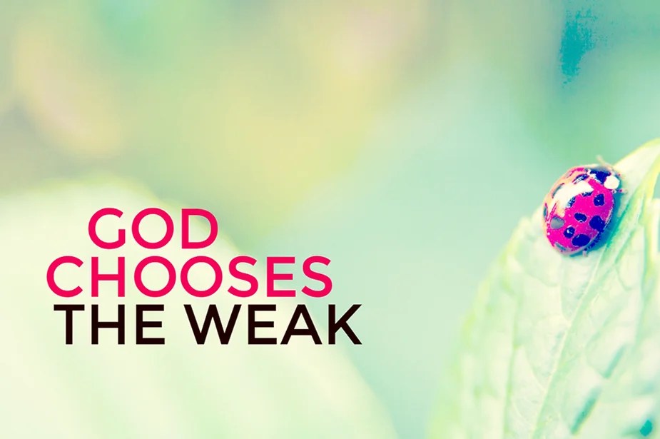 The Weak Things – Dews From Heaven